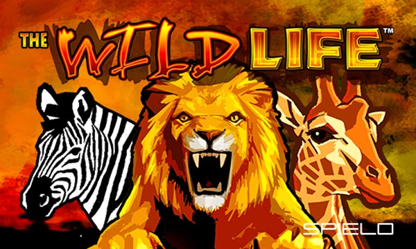 IGT Launching Three Brand New Slot Games In March